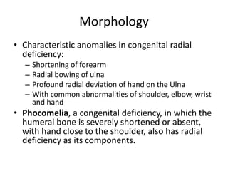 Radial Deficiency and Management.pptx
