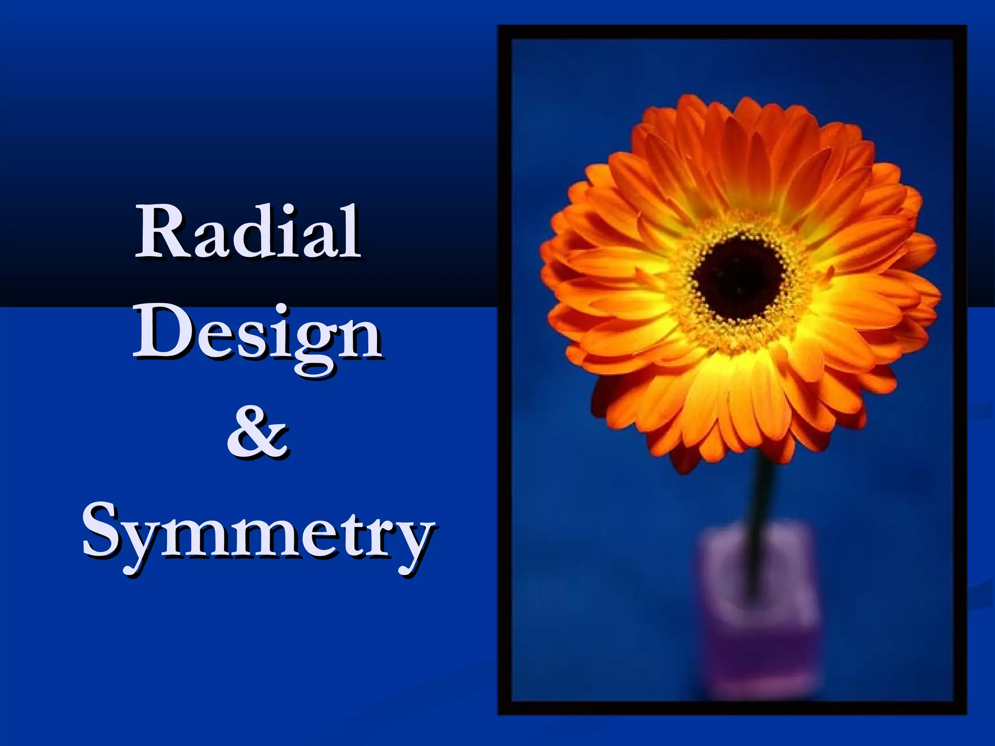 Radial designs 4 | PPT | Buddhism | Religion & Spirituality