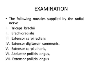 Radial nerve Injury and tendon tranfers | PPTX