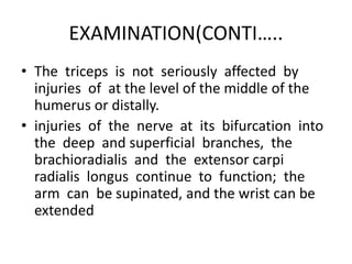 Radial nerve Injury and tendon tranfers | PPTX
