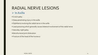 Radial nerve Course, Clinical Implications Assessment and Physiotherapy ...