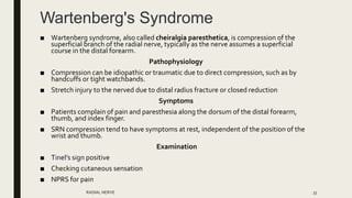 Radial nerve Course, Clinical Implications Assessment and Physiotherapy ...