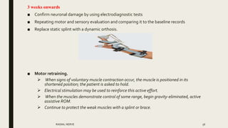 Radial nerve Course, Clinical Implications Assessment and Physiotherapy ...