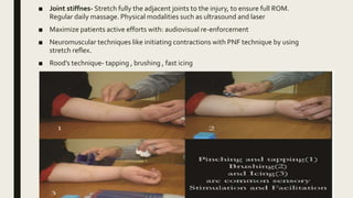 Radial nerve Course, Clinical Implications Assessment and Physiotherapy ...