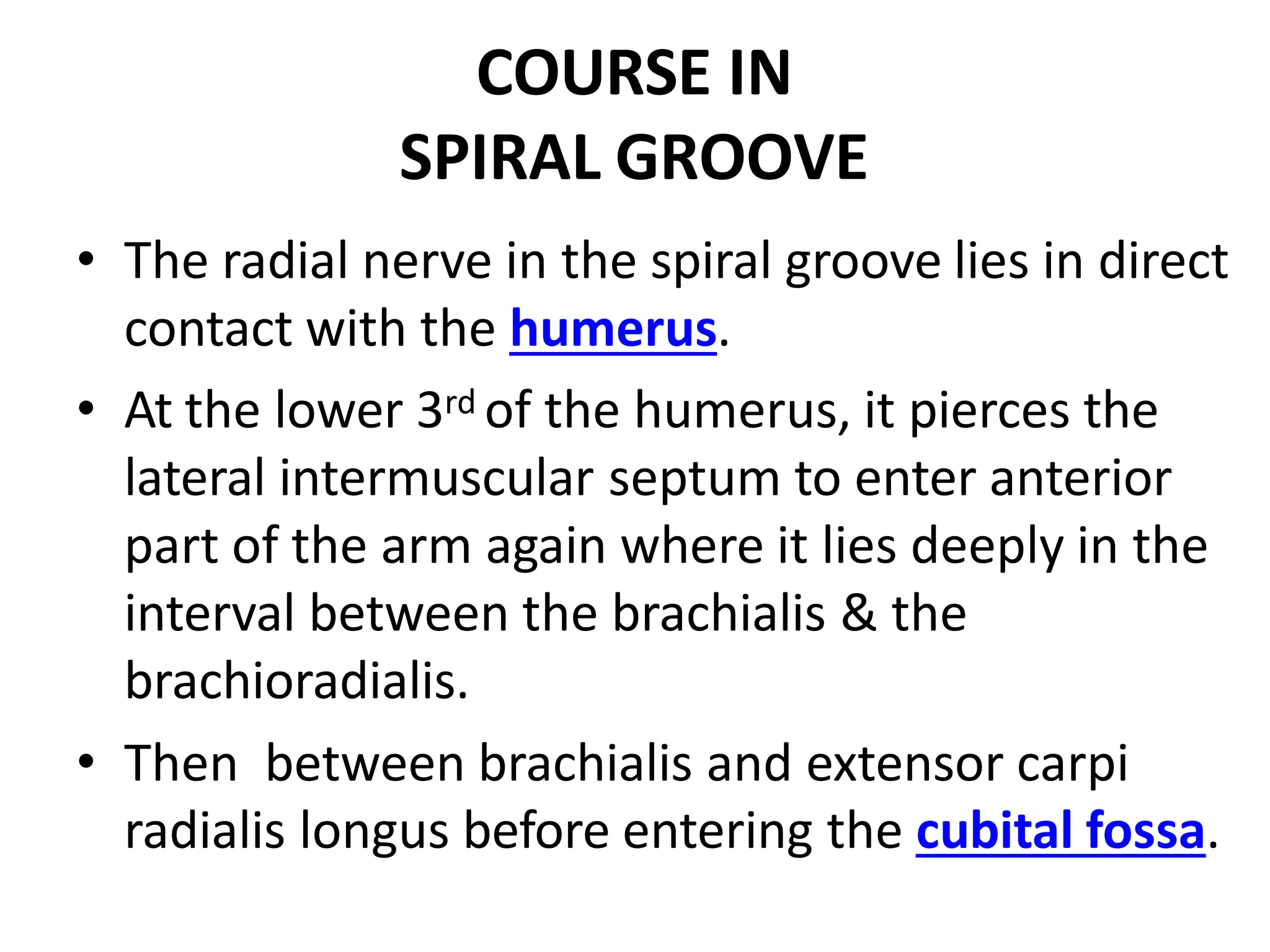 Radialnerve.pptx