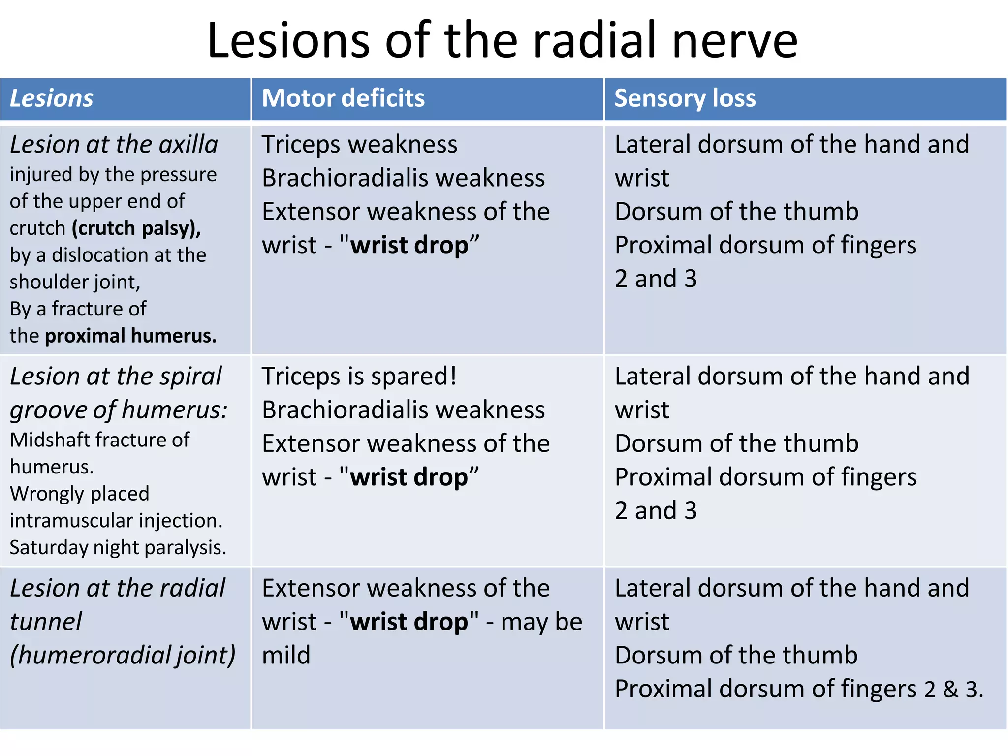 Radialnerve.pptx