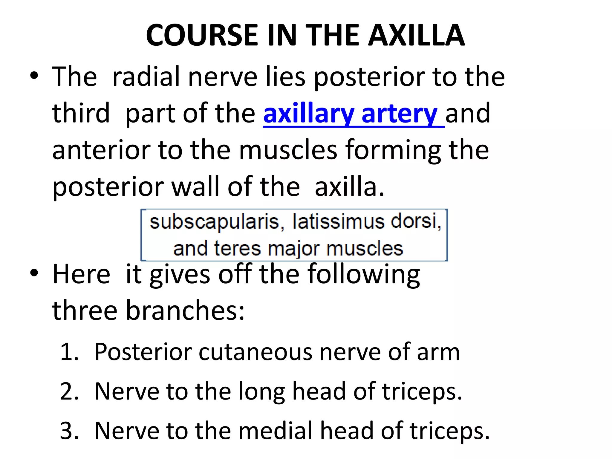 Radialnerve.pptx