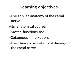 Radialnerve.pptx