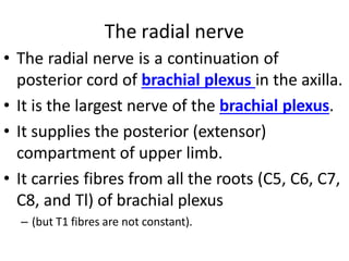 Radialnerve.pptx
