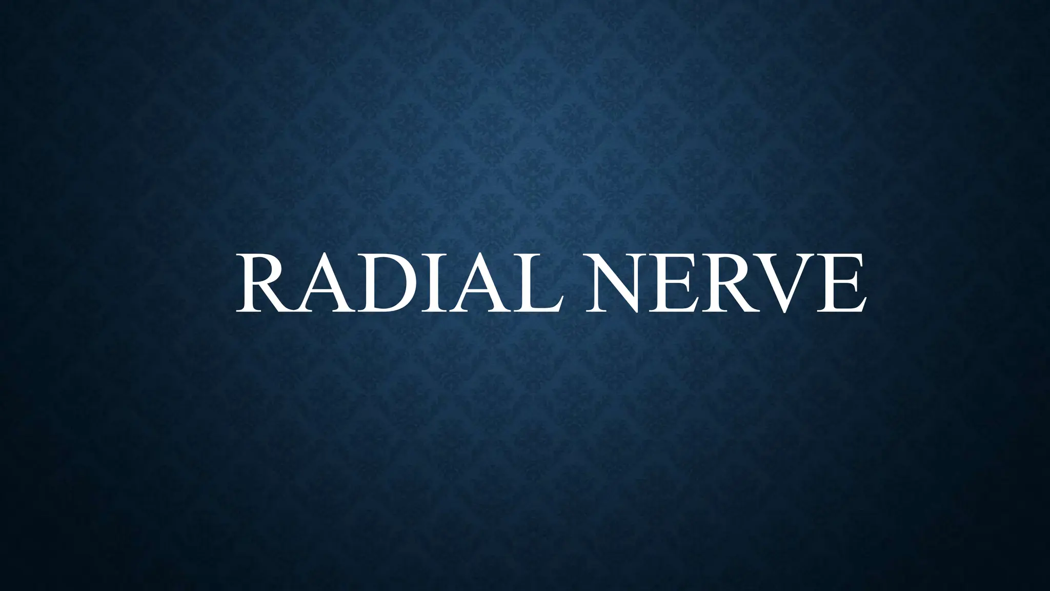 Radial Nerve and radial system education | PPT