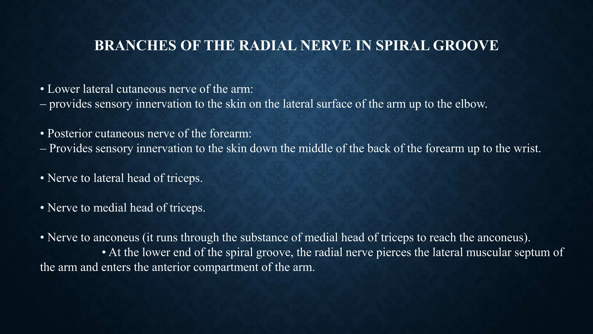 Radial Nerve and radial system education | PPT
