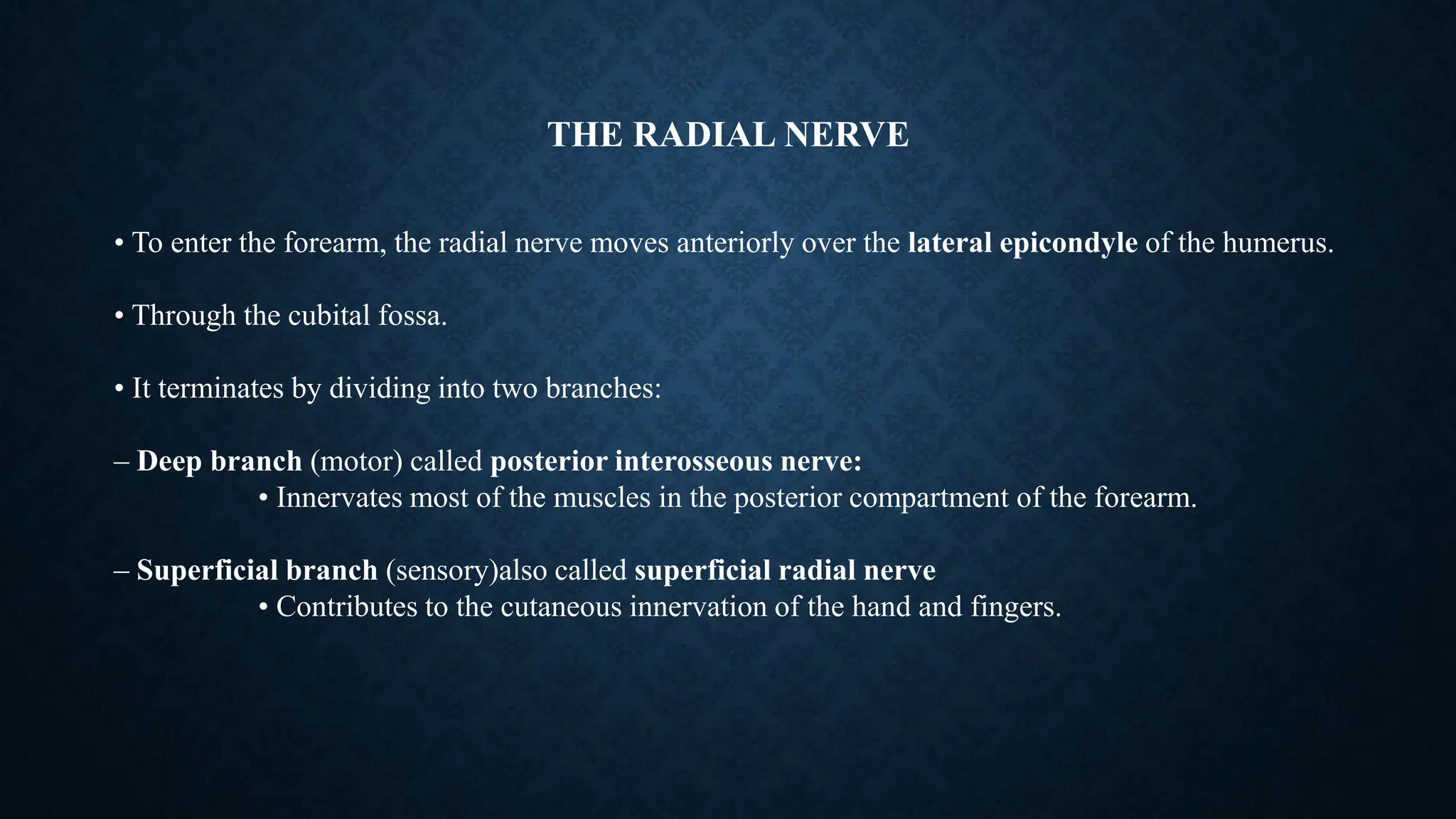 Radial Nerve and radial system education | PPT