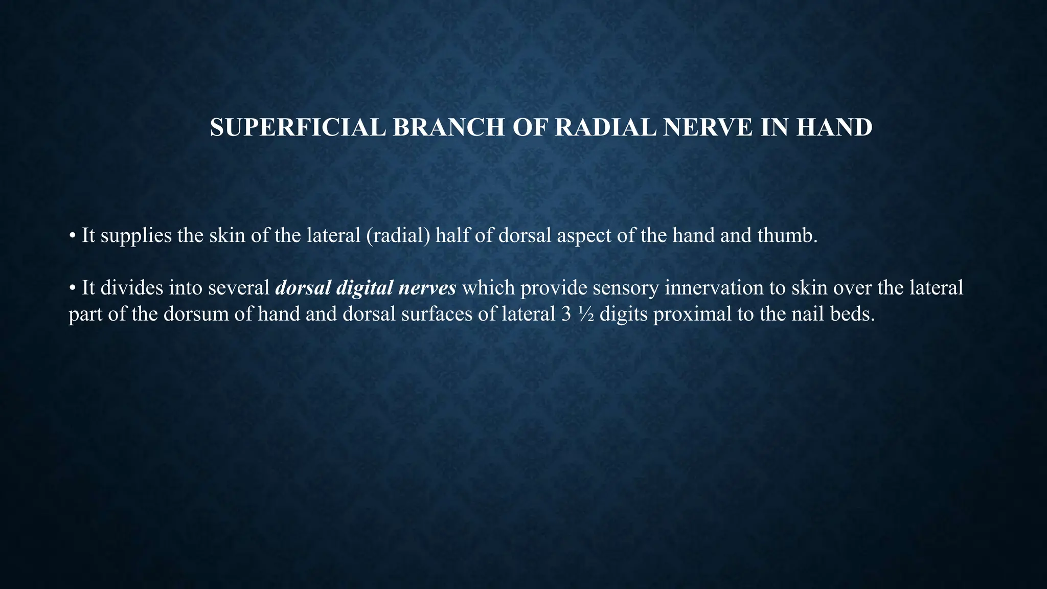 Radial Nerve and radial system education | PPT