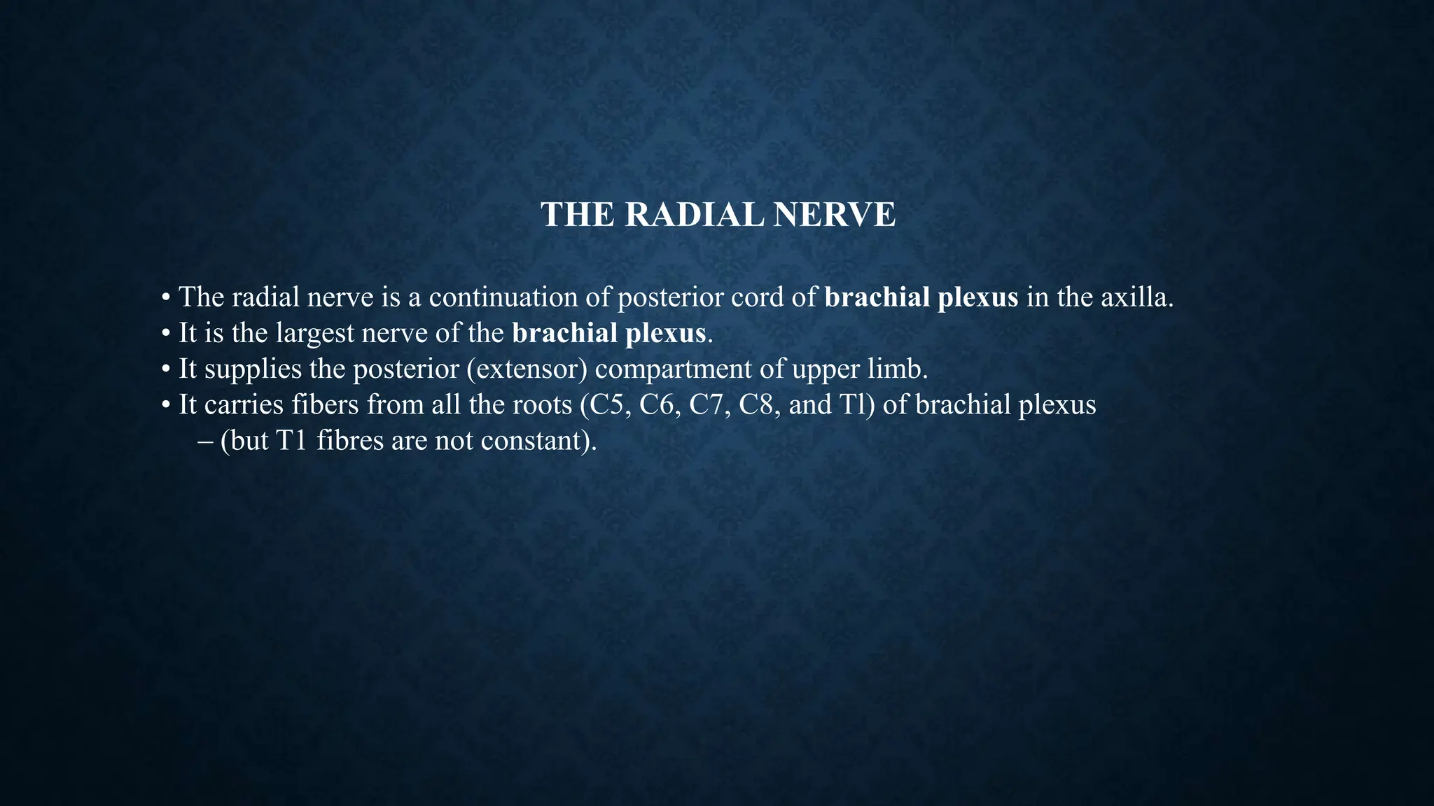 Radial Nerve and radial system education | PPT