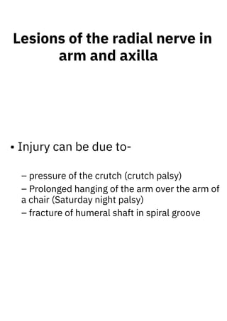 Radial nerve _20240424_135447_ 0000 .pdf