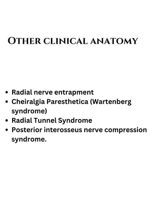 Radial nerve _20240424_135447_ 0000 .pdf