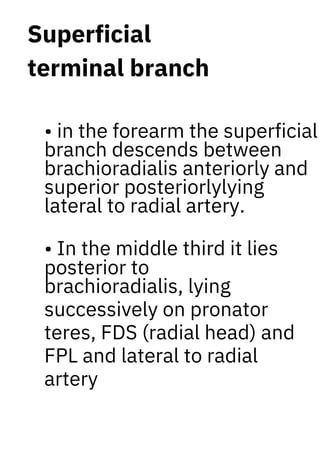 Radial nerve _20240424_135447_ 0000 .pdf
