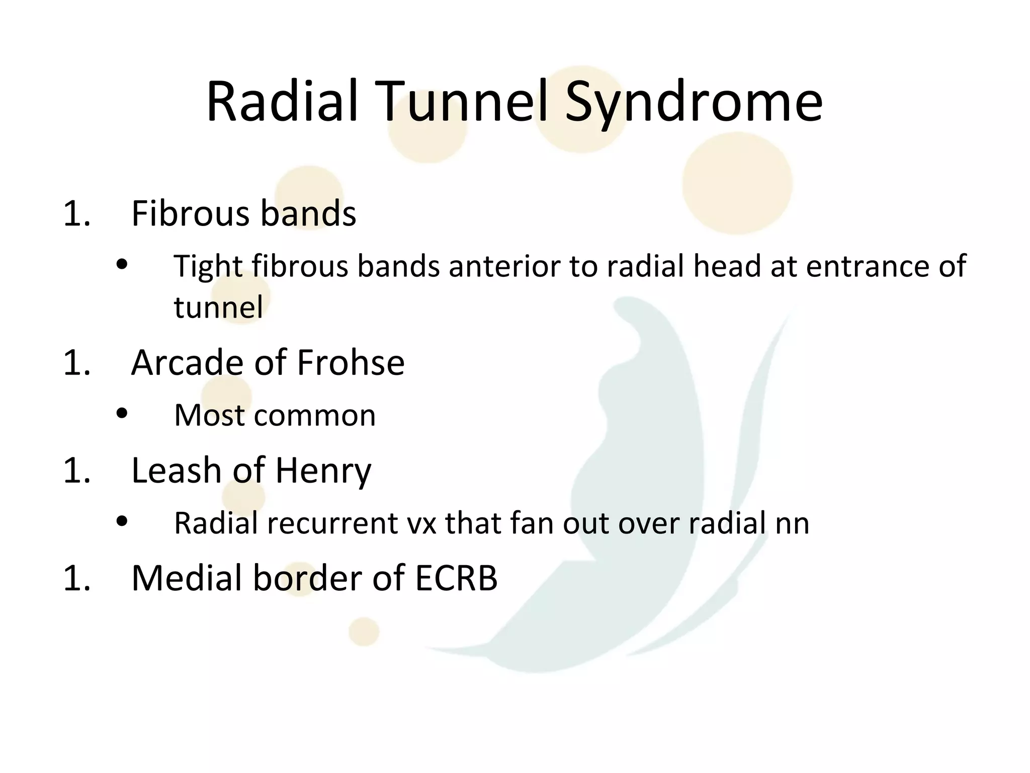 Radial nerve anatomyw | PPT