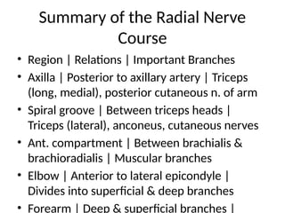 Radial_Nerve_Courseanatomyclinical .pptx