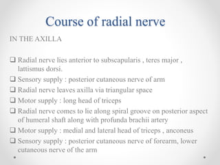 Radial nerve palsy, orthopaedics | PPTX