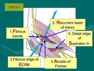 Radial nerve entrapment | PPT
