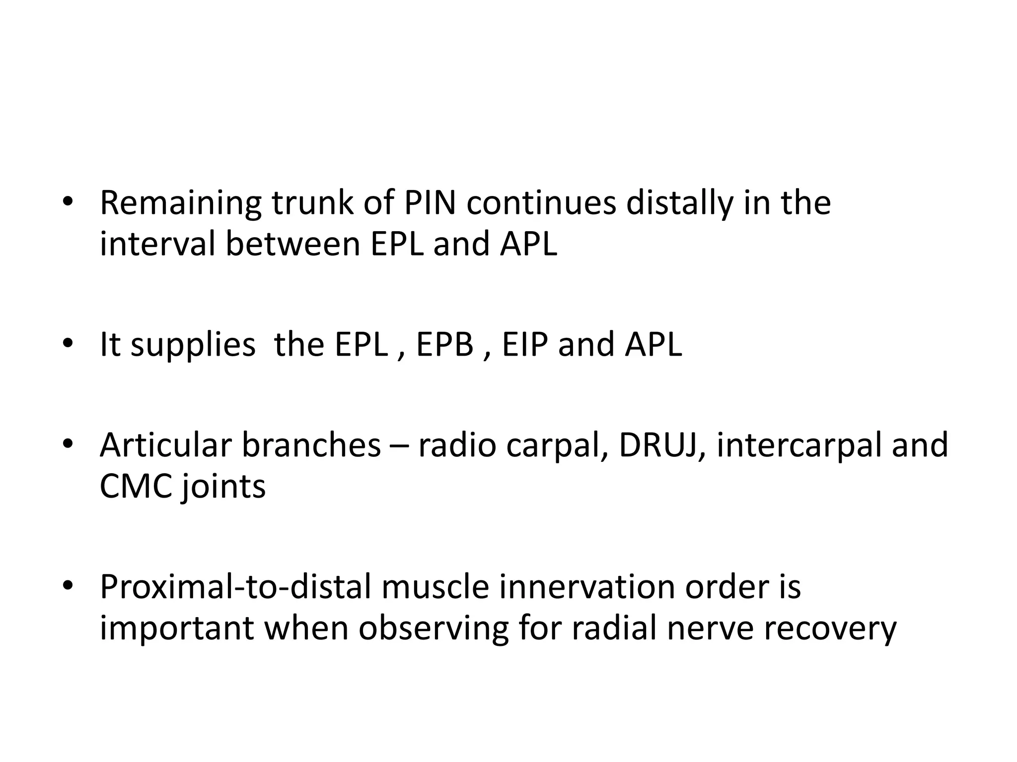 Radial nerve palsy | PPTX