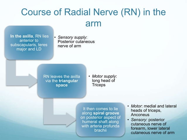 Radial nerve injuries | PPTX