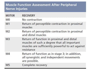 GENERAL APPROCH TO NERVE INJURY AND RADIAL NERVE INJURY MANAGEMENT.pptx