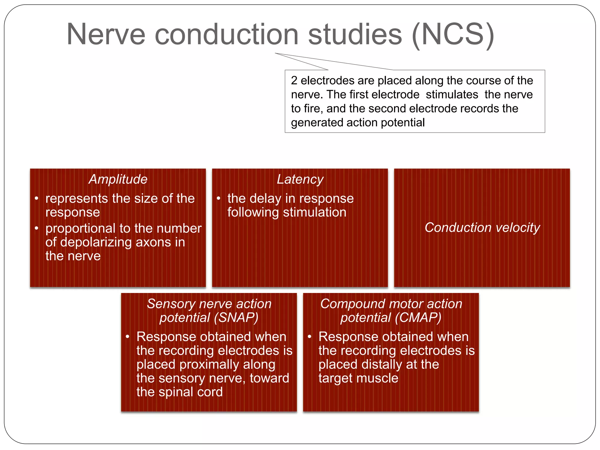 Radial nerve palsy | PPTX