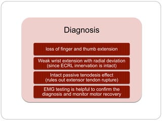Radial nerve palsy | PPTX