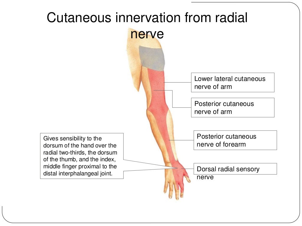 Radial nerve palsy