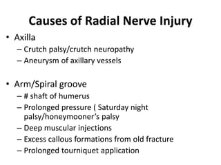 Radial Nerve palsy, Anatomy, Diagnosis and Management.pptx