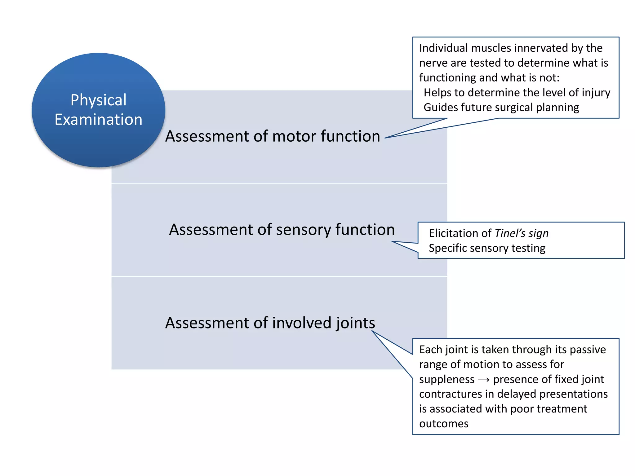 Radial nerve palsy clinical features and diagnosis | PPTX