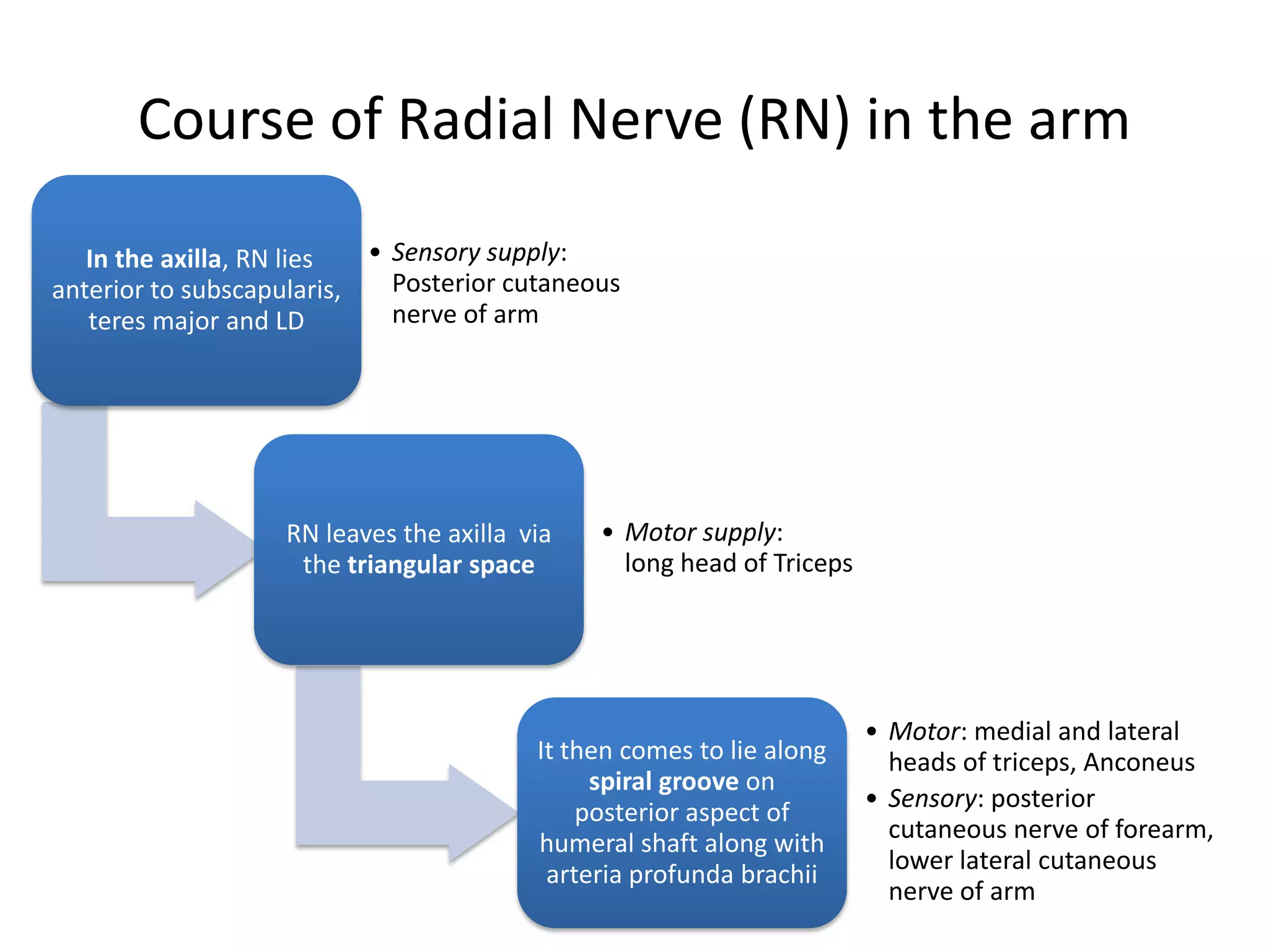 Radial nerve palsy clinical features and diagnosis | PPTX