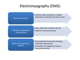 Radial nerve palsy clinical features and diagnosis | PPTX