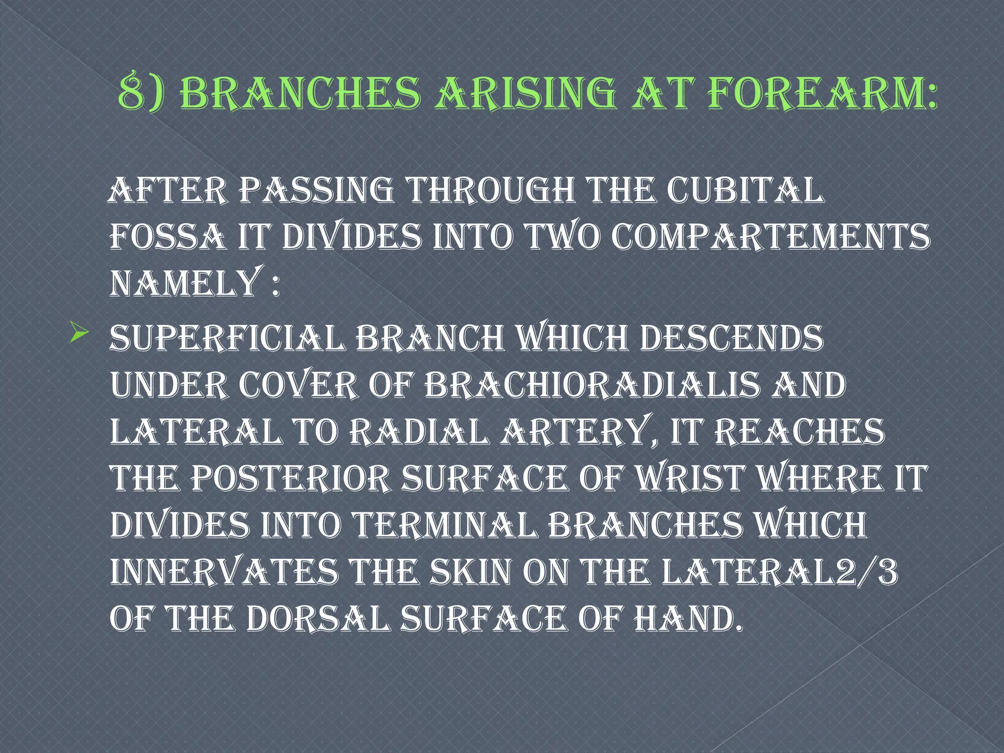 Radial Nerve Presentation , nerve of brachial plexus | PPTX | Death, Injury, or Military ...