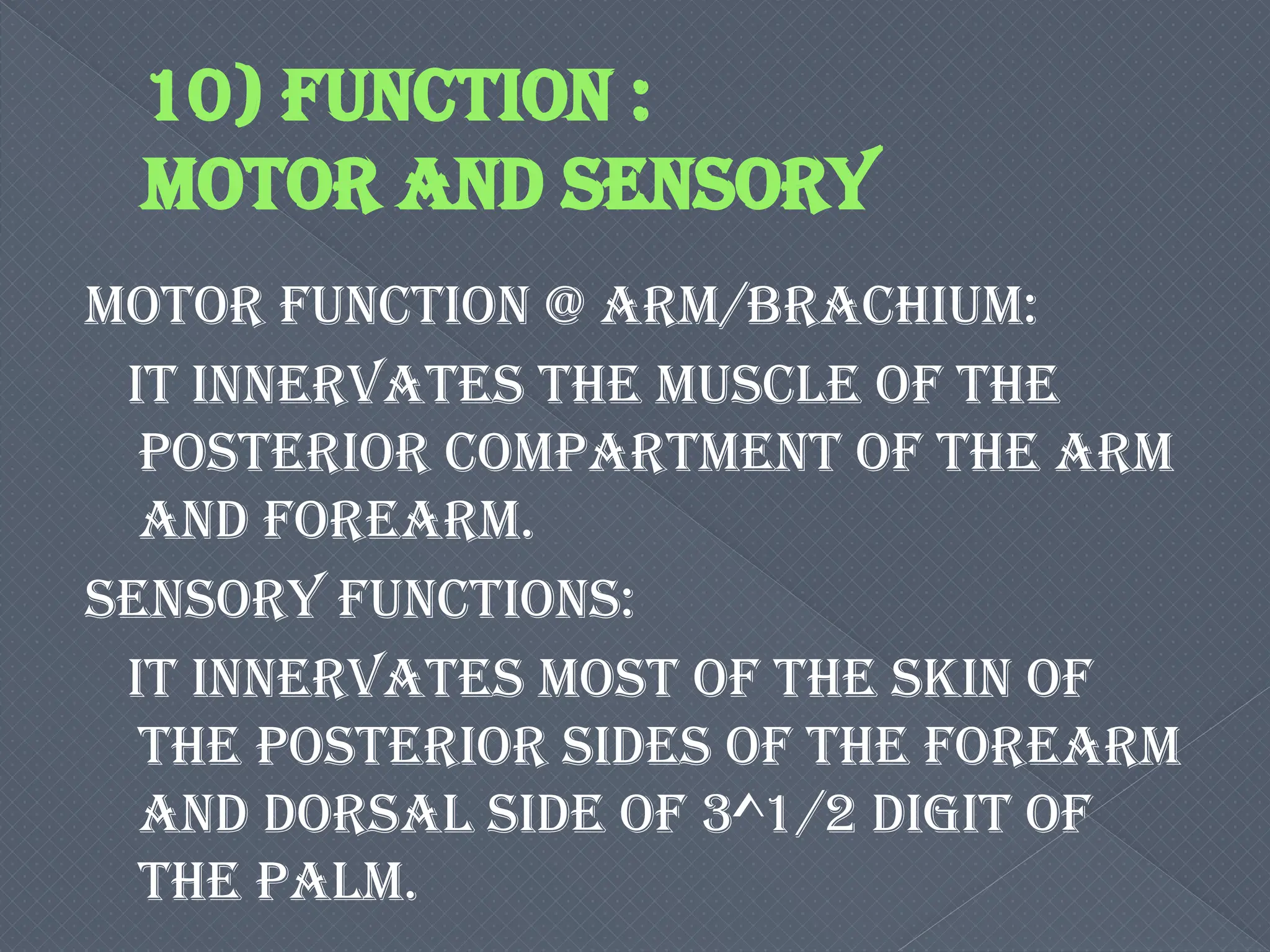 Radial Nerve Presentation , nerve of brachial plexus | PPTX | Death ...