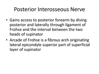 Radial neuropathy and electrophysiology | PPTX