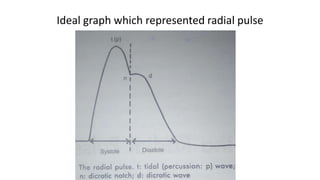 Carotid Pulse Tracing