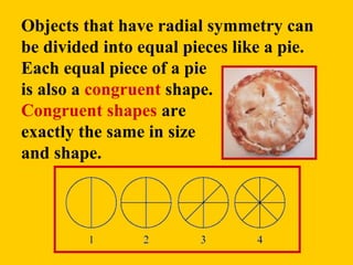 Radialsymmetry | PPT | Physics | Science