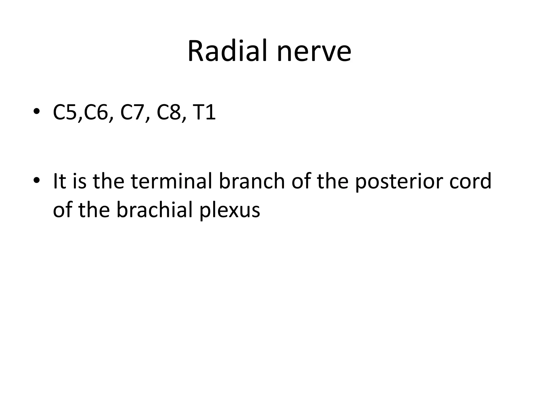 Radial, ulnar and median nerve injuries | PPTX