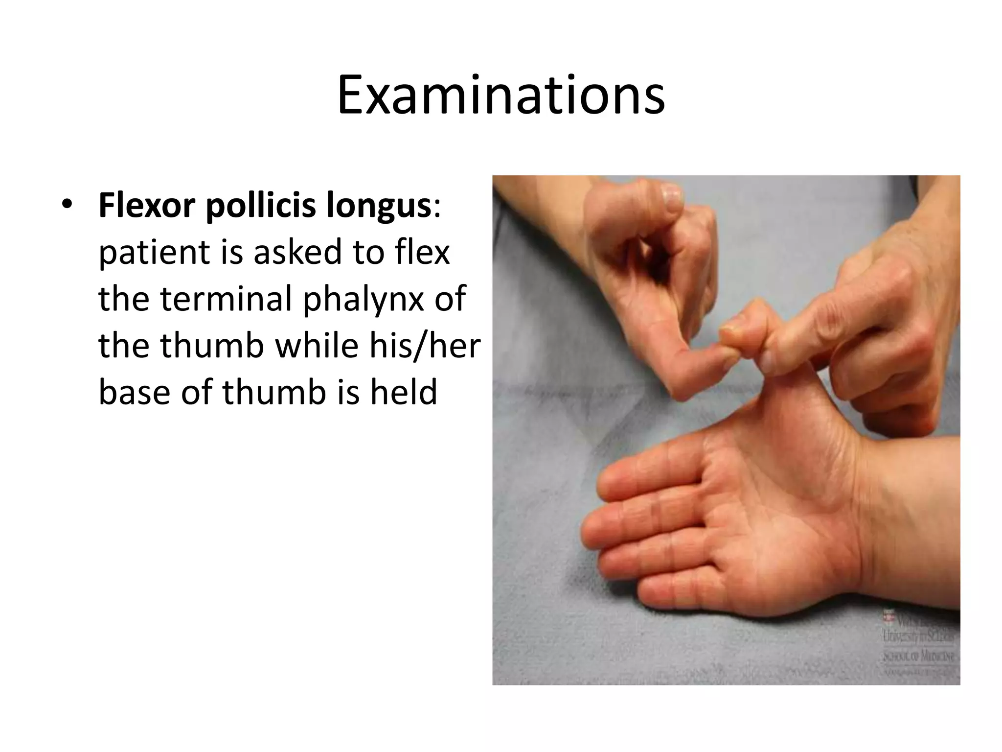 Radial, ulnar and median nerve injuries | PPTX