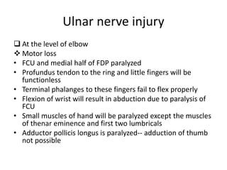 Radial, ulnar and median nerve injuries | PPTX