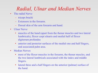 Radial, ulnar, median nerve injury.pptx