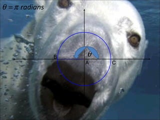 Radian Measure | PPT