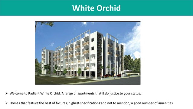 Radiant structure pvt ltd | PPTX