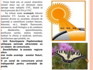 Radiatiile ultraviolete | PPT