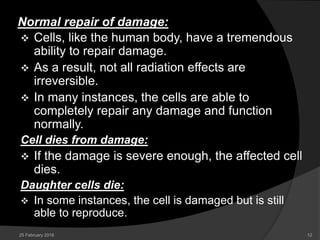 biological hazards of radiation | PPTX