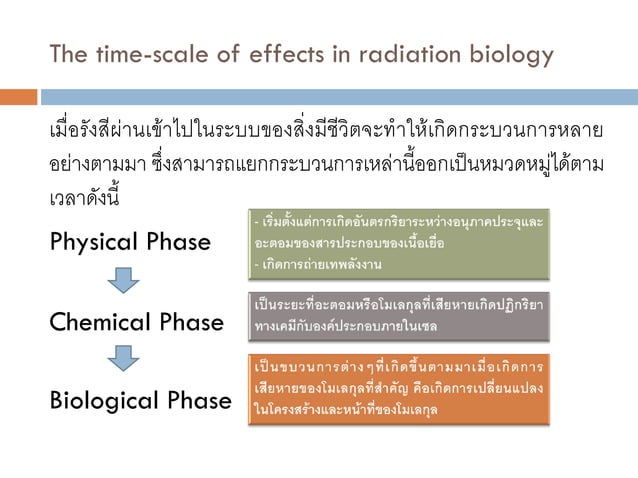 Radiation Biology | PDF