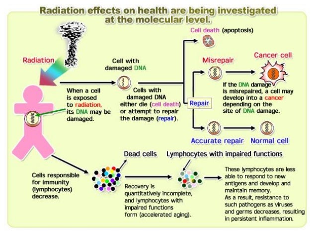 Radiation Biology
